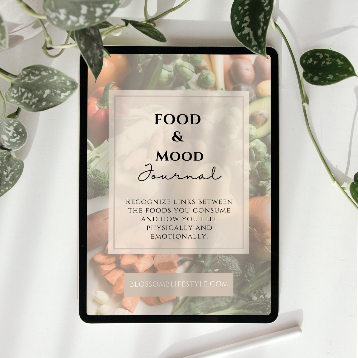 Food and Mood Journal – BLOSSOM Balanced Lifestyle